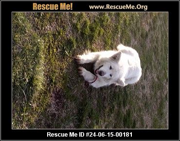 - Kansas Dog Rescue - ADOPTIONS - Rescue Me!