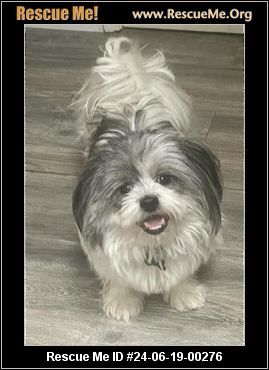 - Washington Dog Rescue - ADOPTIONS - Rescue Me!