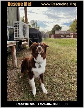 - Oklahoma Dog Rescue - ADOPTIONS - Rescue Me!