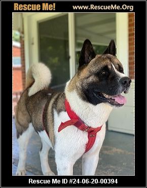 - Pennsylvania Dog Rescue - ADOPTIONS - Rescue Me!