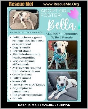 - North Carolina Dog Rescue - ADOPTIONS - Rescue Me!