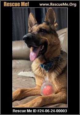 - Indiana German Shepherd Rescue - ADOPTIONS - Rescue Me!