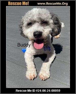 - Delaware Dog Rescue - ADOPTIONS - Rescue Me!