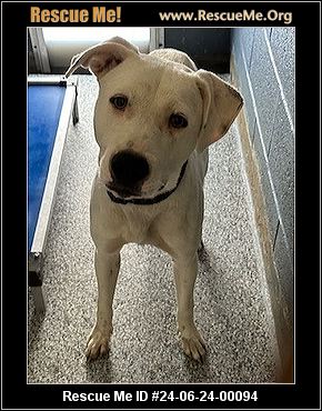 - Oklahoma Dog Rescue - ADOPTIONS - Rescue Me!