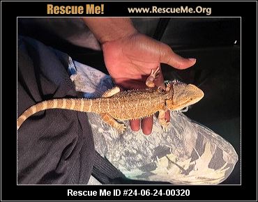 - Florida Reptile/Amphibian Rescue - ADOPTIONS - Rescue Me!