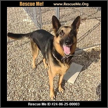- Pennsylvania German Shepherd Rescue - ADOPTIONS - Rescue Me!