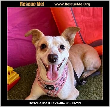 - California Corgi Rescue - ADOPTIONS - Rescue Me!