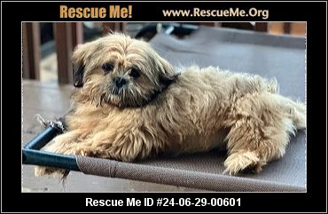 - Colorado Dog Rescue - ADOPTIONS - Rescue Me!