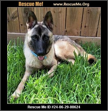 - Pennsylvania German Shepherd Rescue - ADOPTIONS - Rescue Me!