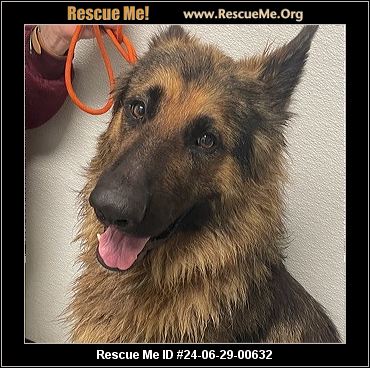 - Pennsylvania German Shepherd Rescue - ADOPTIONS - Rescue Me!