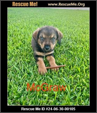 - New Jersey Dog Rescue - ADOPTIONS - Rescue Me!