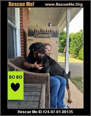 - North Carolina Dog Rescue - ADOPTIONS - Rescue Me!