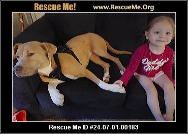 - Virginia Dog Rescue - ADOPTIONS - Rescue Me!