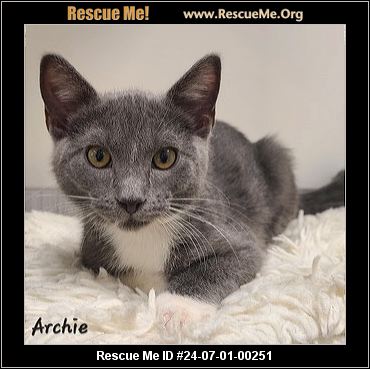 - Missouri Cat Rescue - ADOPTIONS - Rescue Me!