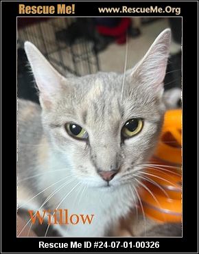 - Missouri Cat Rescue - ADOPTIONS - Rescue Me!