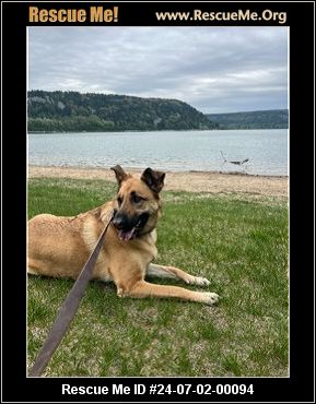 - Indiana German Shepherd Rescue - ADOPTIONS - Rescue Me!