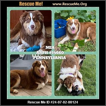 - Pennsylvania Dog Rescue - ADOPTIONS - Rescue Me!