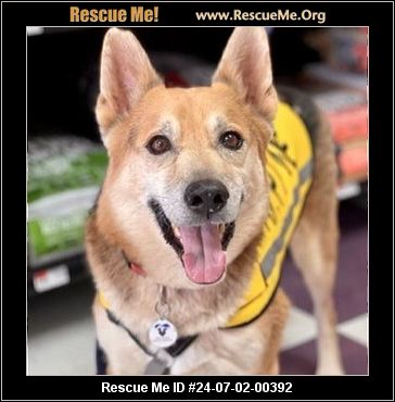 - Colorado Dog Rescue - ADOPTIONS - Rescue Me!