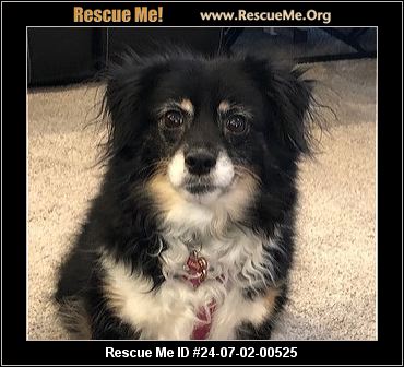 - Utah Dog Rescue - ADOPTIONS - Rescue Me!