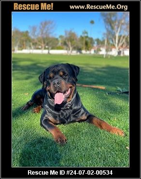 - California Rottweiler Rescue - ADOPTIONS - Rescue Me!