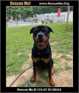 - Rhode Island Dog Rescue - ADOPTIONS - Rescue Me!