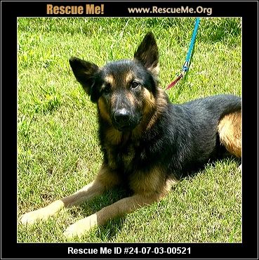 - Pennsylvania German Shepherd Rescue - ADOPTIONS - Rescue Me!