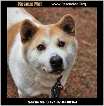 - Massachusetts Dog Rescue - ADOPTIONS - Rescue Me!