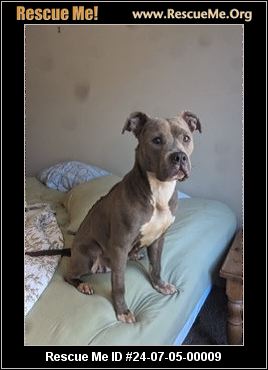 - Georgia Dog Rescue - ADOPTIONS - Rescue Me!