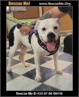 - Virginia Dog Rescue - ADOPTIONS - Rescue Me!