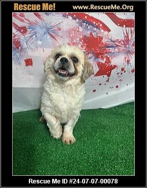 - Pennsylvania Dog Rescue - ADOPTIONS - Rescue Me!