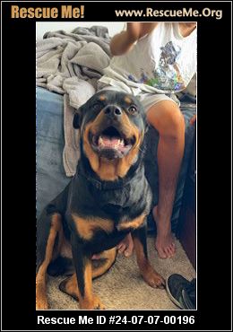 - California Rottweiler Rescue - ADOPTIONS - Rescue Me!