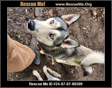 - Oregon Dog Rescue - ADOPTIONS - Rescue Me!