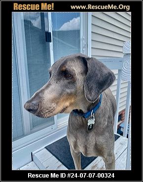 - South Carolina Dog Rescue - ADOPTIONS - Rescue Me!