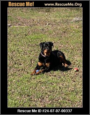 - Arkansas Dog Rescue - ADOPTIONS - Rescue Me!