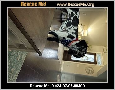 - West Virginia Dog Rescue - ADOPTIONS - Rescue Me!