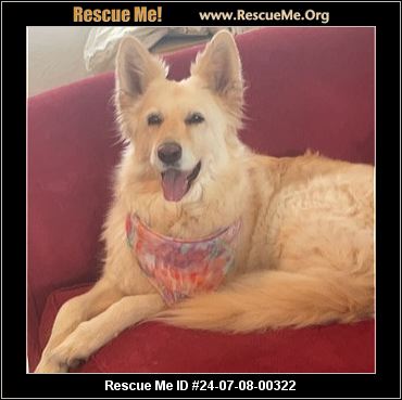 - West Virginia Dog Rescue - ADOPTIONS - Rescue Me!