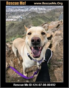 - Arizona Australian Cattle Dog Rescue - ADOPTIONS - Rescue Me!