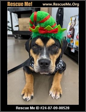 - Illinois Rottweiler Rescue - ADOPTIONS - Rescue Me!