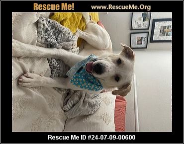 - Tennessee Dog Rescue - ADOPTIONS - Rescue Me!
