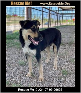 - Indiana German Shepherd Rescue - ADOPTIONS - Rescue Me!