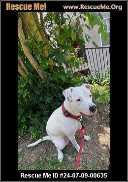 - Tennessee Mutt Rescue - ADOPTIONS - Rescue Me!