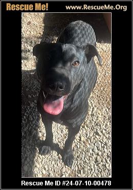 - Oklahoma Dog Rescue - ADOPTIONS - Rescue Me!