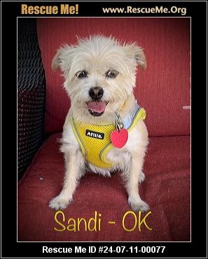 - Minnesota Dog Rescue - ADOPTIONS - Rescue Me!