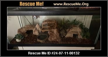 - Massachusetts Reptile/Amphibian Rescue - ADOPTIONS - Rescue Me!