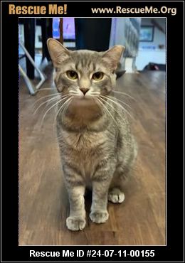 - Wisconsin Cat Rescue - ADOPTIONS - Rescue Me!