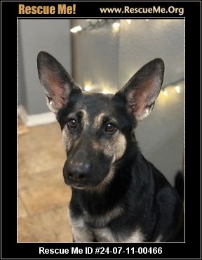 - Texas German Shepherd Rescue - ADOPTIONS - Rescue Me!