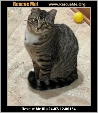 - Wisconsin Cat Rescue - ADOPTIONS - Rescue Me!