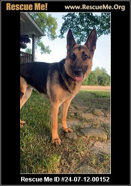- Indiana German Shepherd Rescue - ADOPTIONS - Rescue Me!