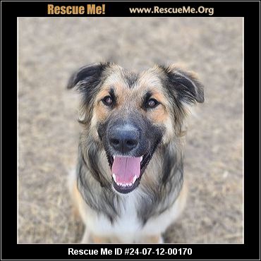 - Indiana Dog Rescue - ADOPTIONS - Rescue Me!