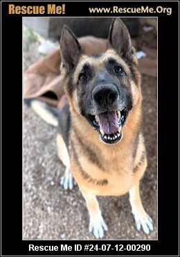 - Texas German Shepherd Rescue - ADOPTIONS - Rescue Me!
